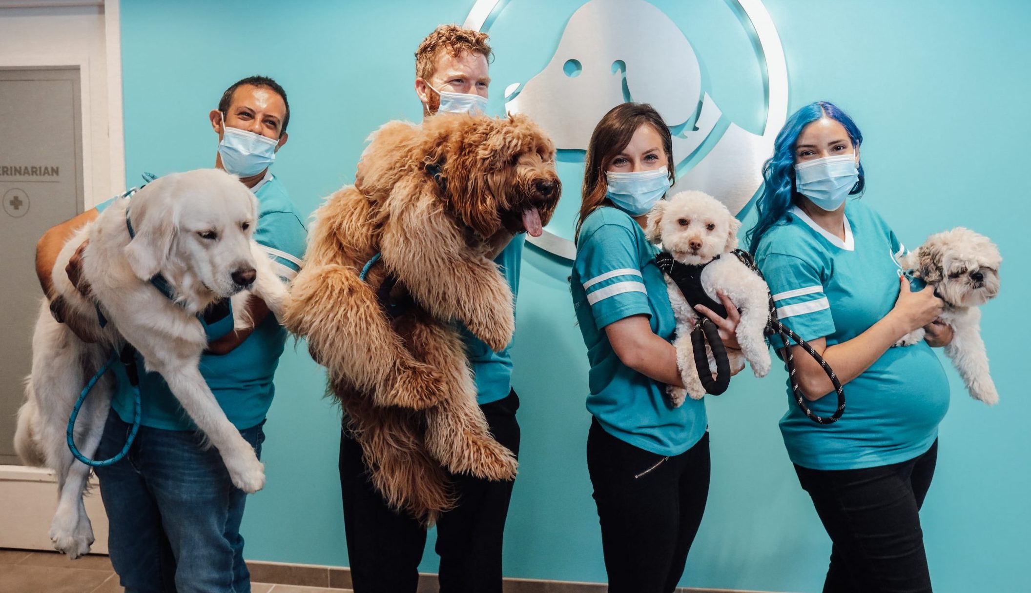 COVID-19 Update: How FIDUS is Protecting You, Your Pets, and Our Team ...